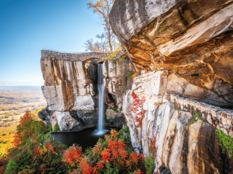 European Service Center Georgia Locations - Auto Repair & Service